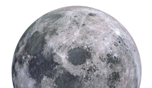 Pies, pasta, crumble and cake! Delicious food stalls to try at York ...